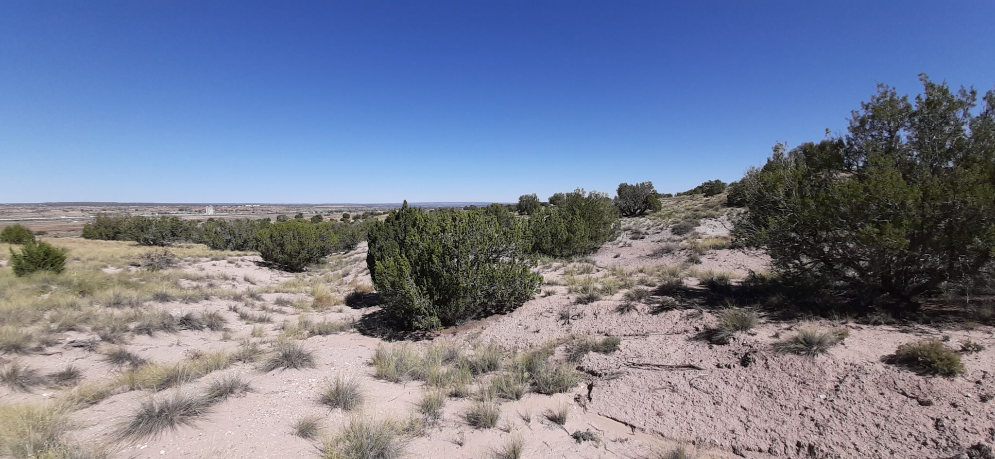 Your Spot! Private Off-Grid Paradise in Sanders, AZ – SECOND ACT LAND ...